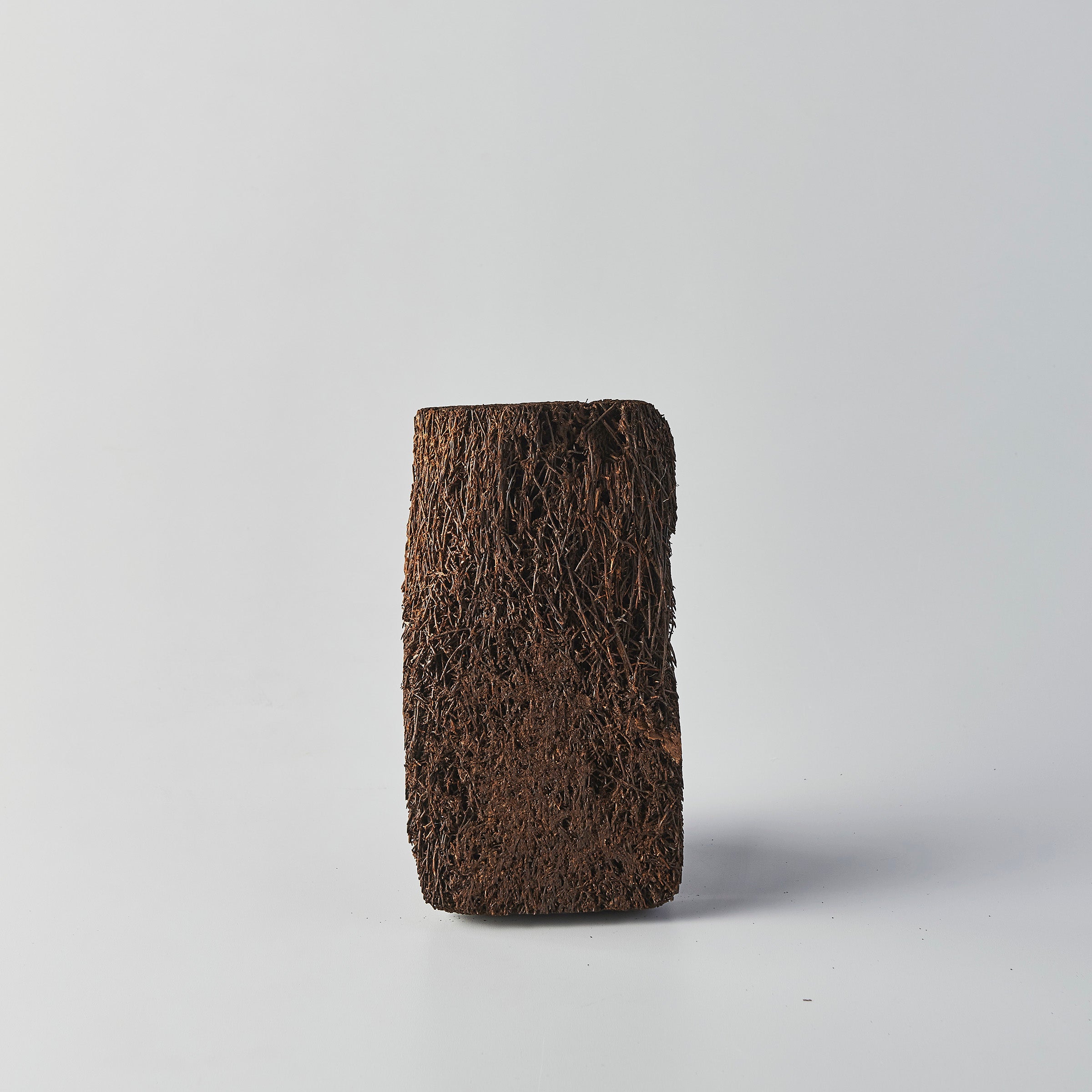 Fern Bark – The Botanical Assembly